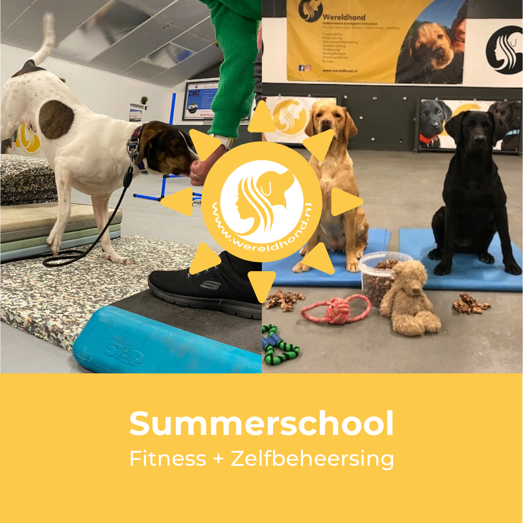 Di 23 Juli om 18:30 uur - Summerschool | Fitness + Zelfbeheersing - Wereldhond