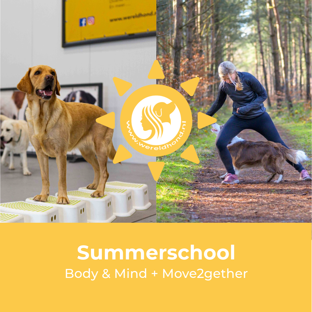 Za 20 Juli om 14:00 uur - Summerschool | Body & Mind + Move2gether - Wereldhond